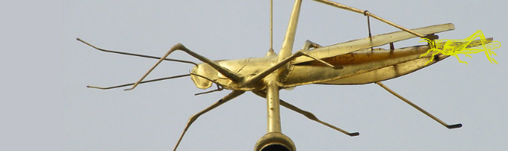 London grasshopper tours – Qualified City of London walking guide