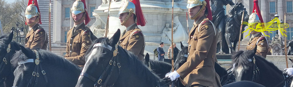 Historic Westminster and The Changing of the Guard Tour – London ...